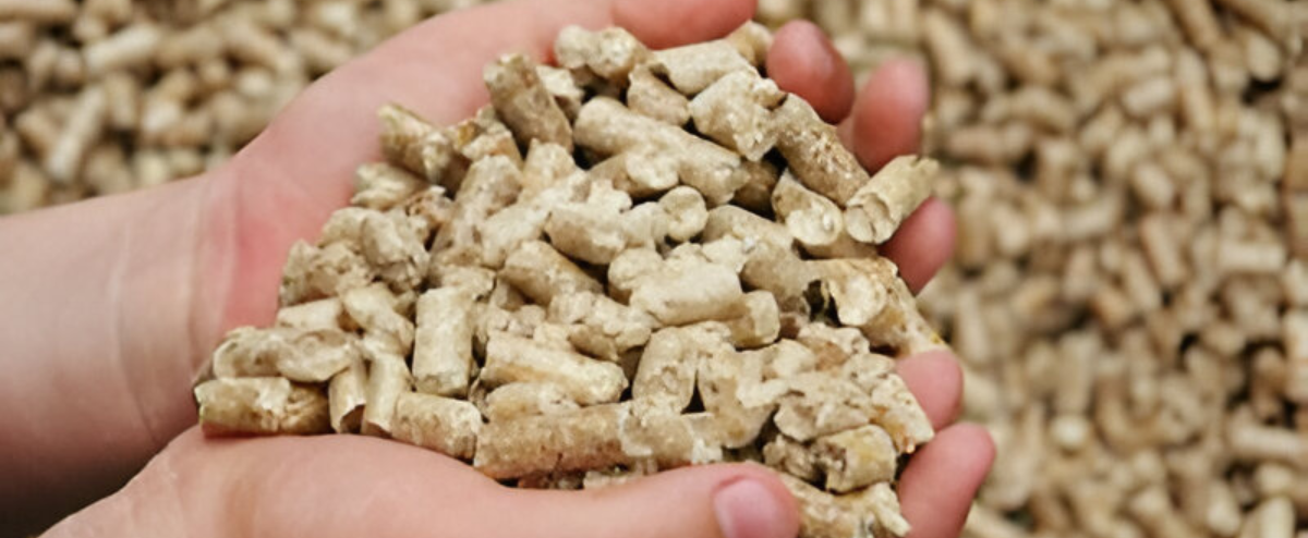 Solución Nutricional para Ganado en Invierno | Pellet de Cáscara de Soya